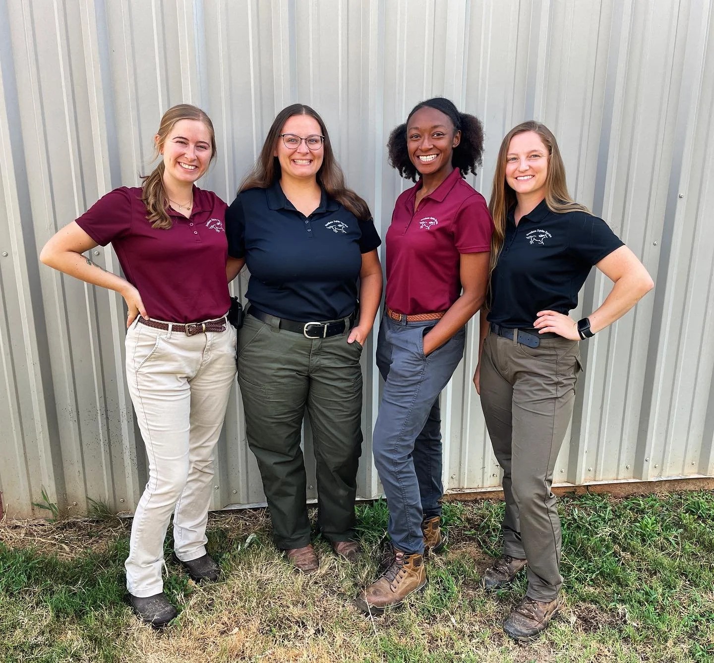SOUTHERN EQUINE SERVICE