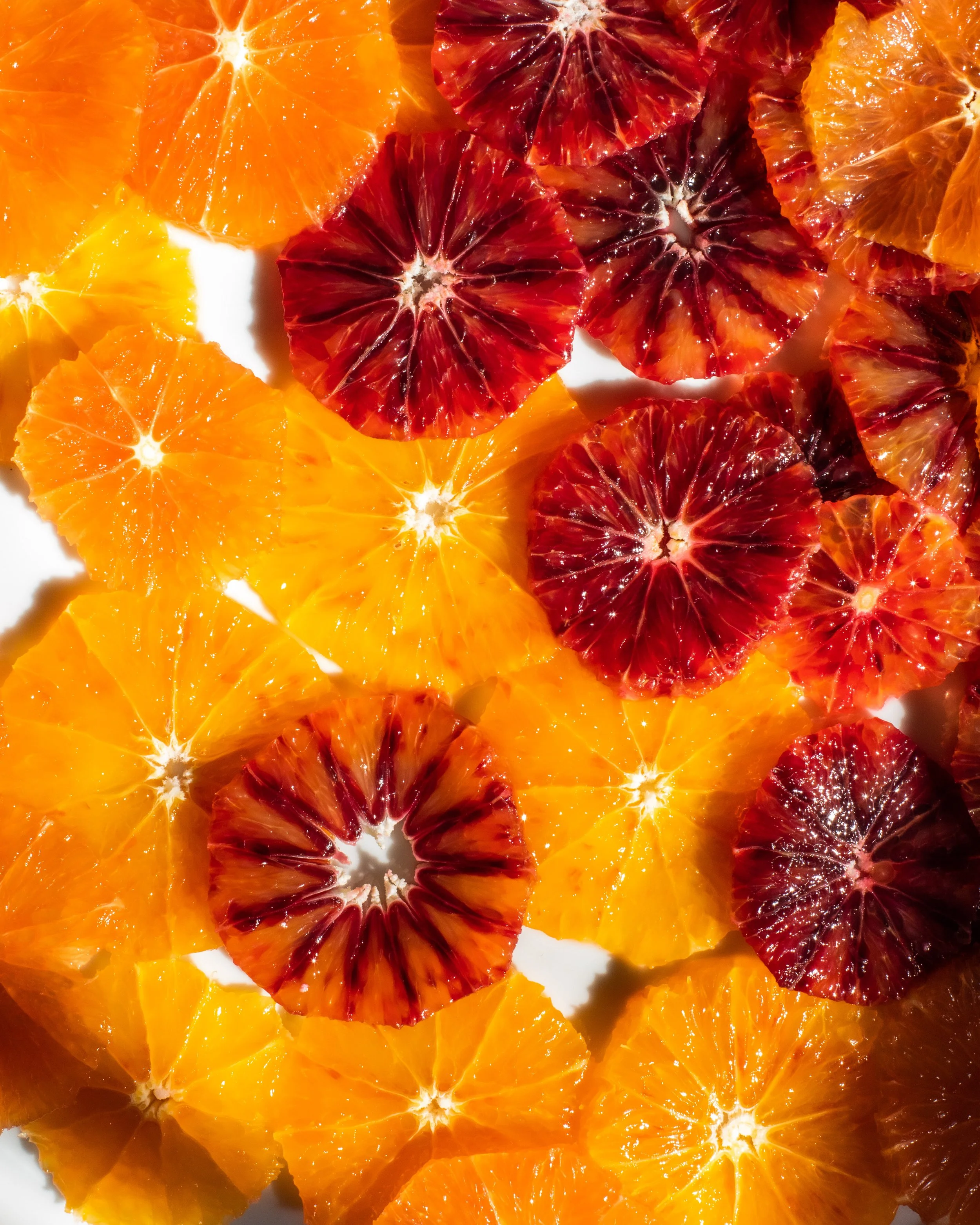 Nashville Photographer | Victoria Quirk