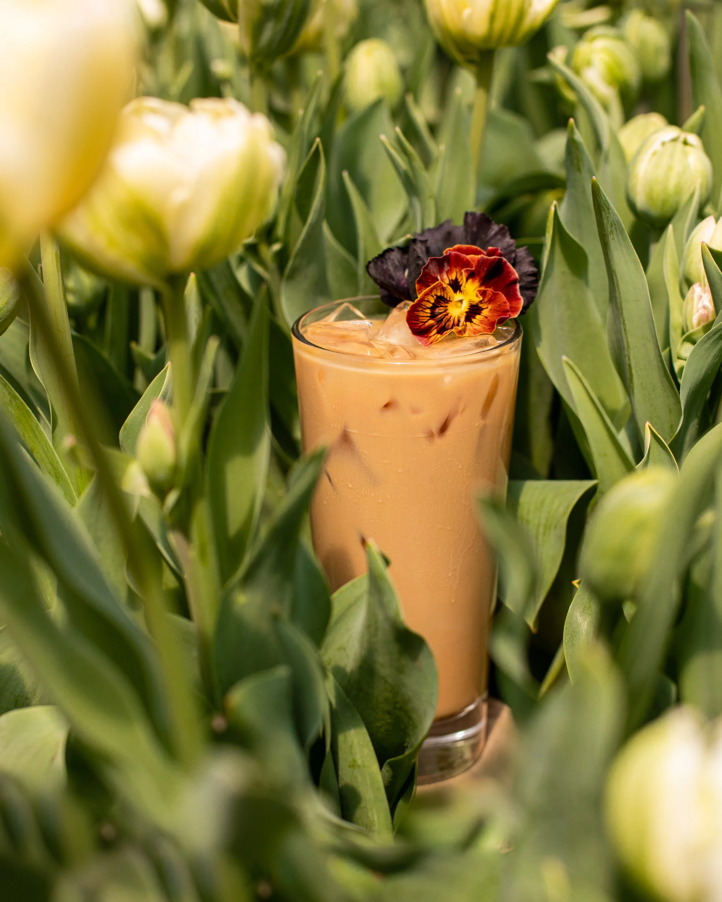 Nashville Photographer | Victoria Quirk