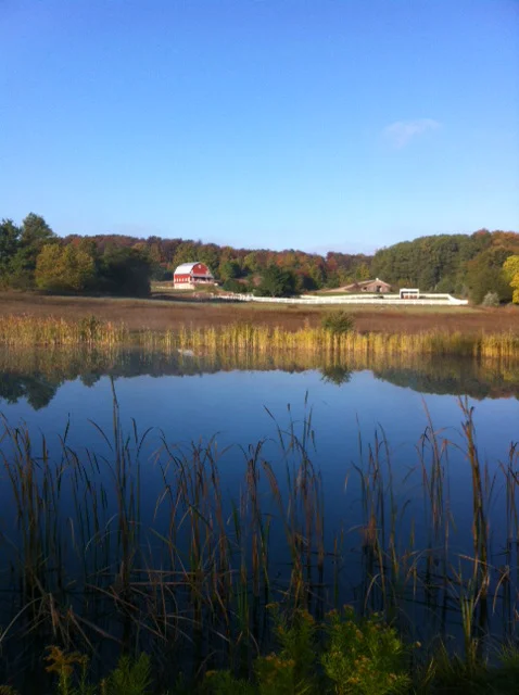 Gallery — Traverse City Wedding Barn