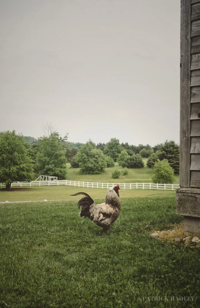 Step by Step Wedding Barn Planning Guide — Traverse City Wedding Barn