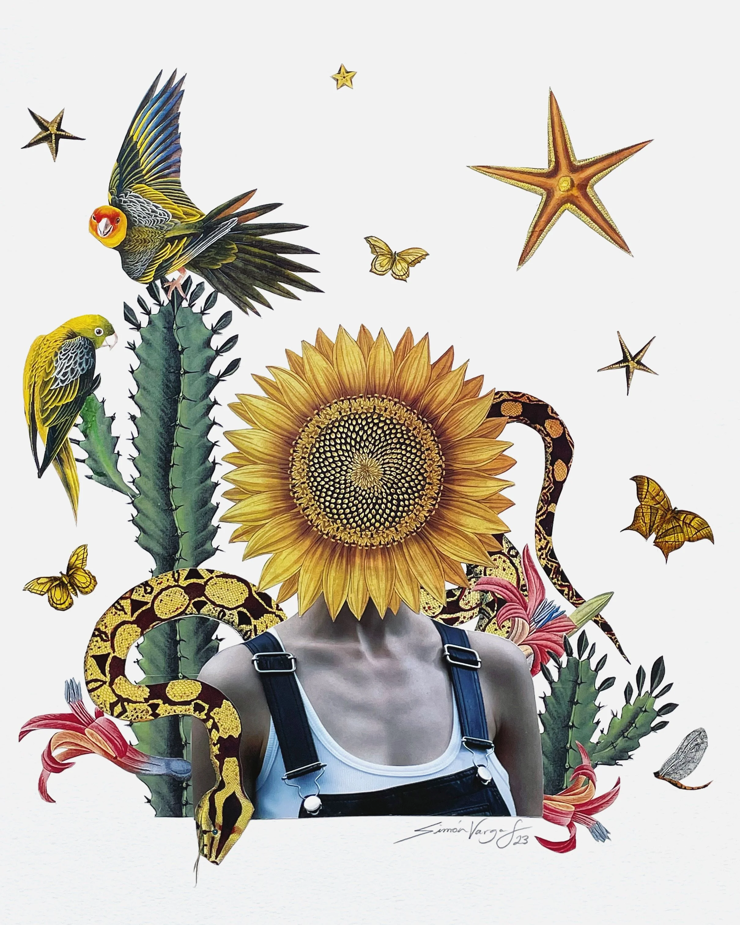 ONLINE STORE — Wolf & Nomad