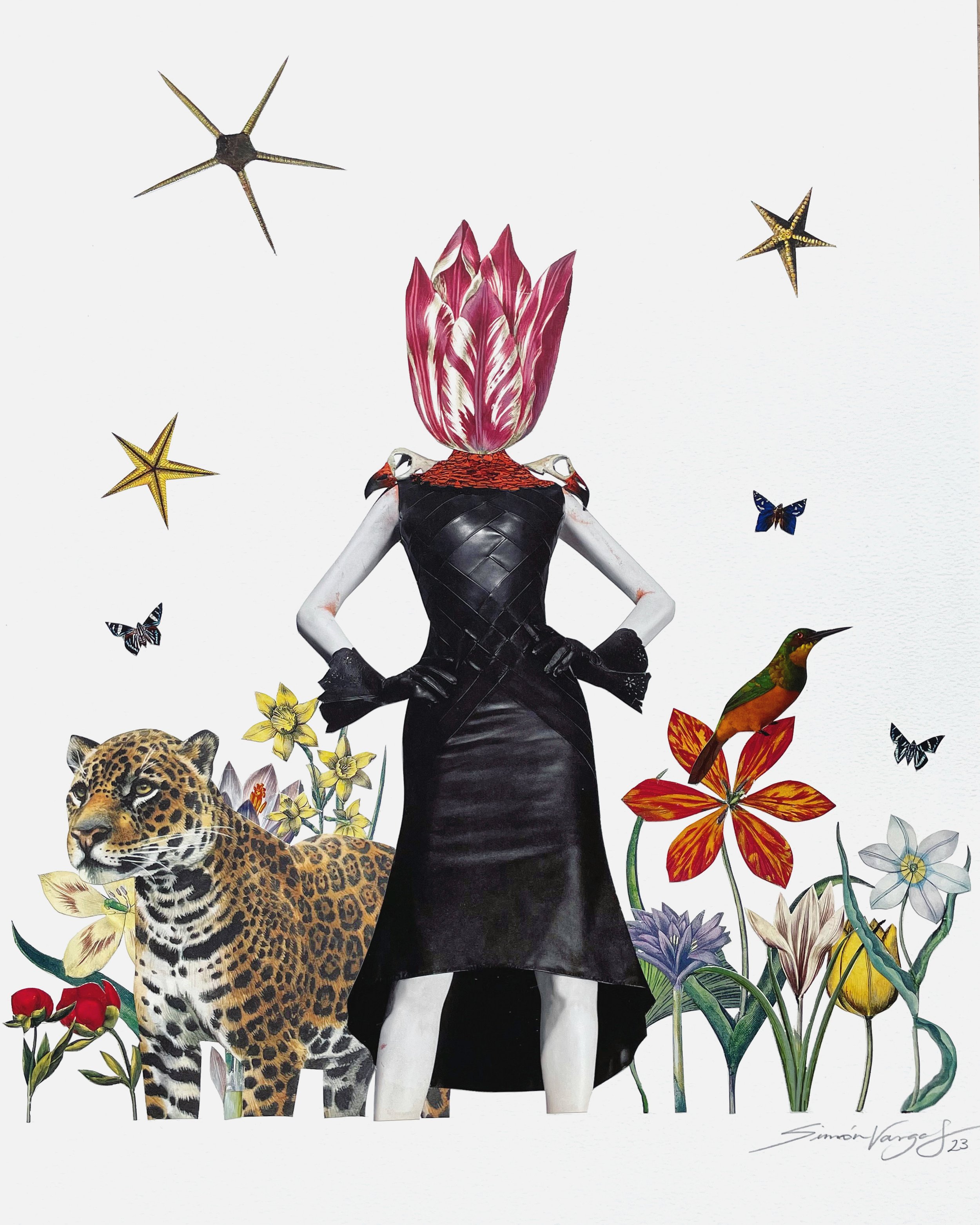 ONLINE STORE — Wolf & Nomad