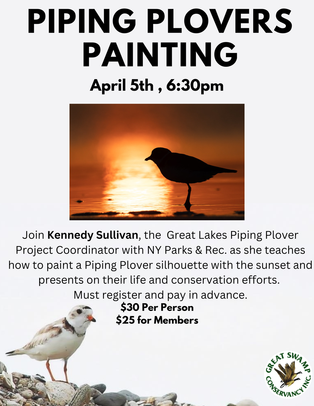 Piping Plover Painting — Great Swamp Conservancy