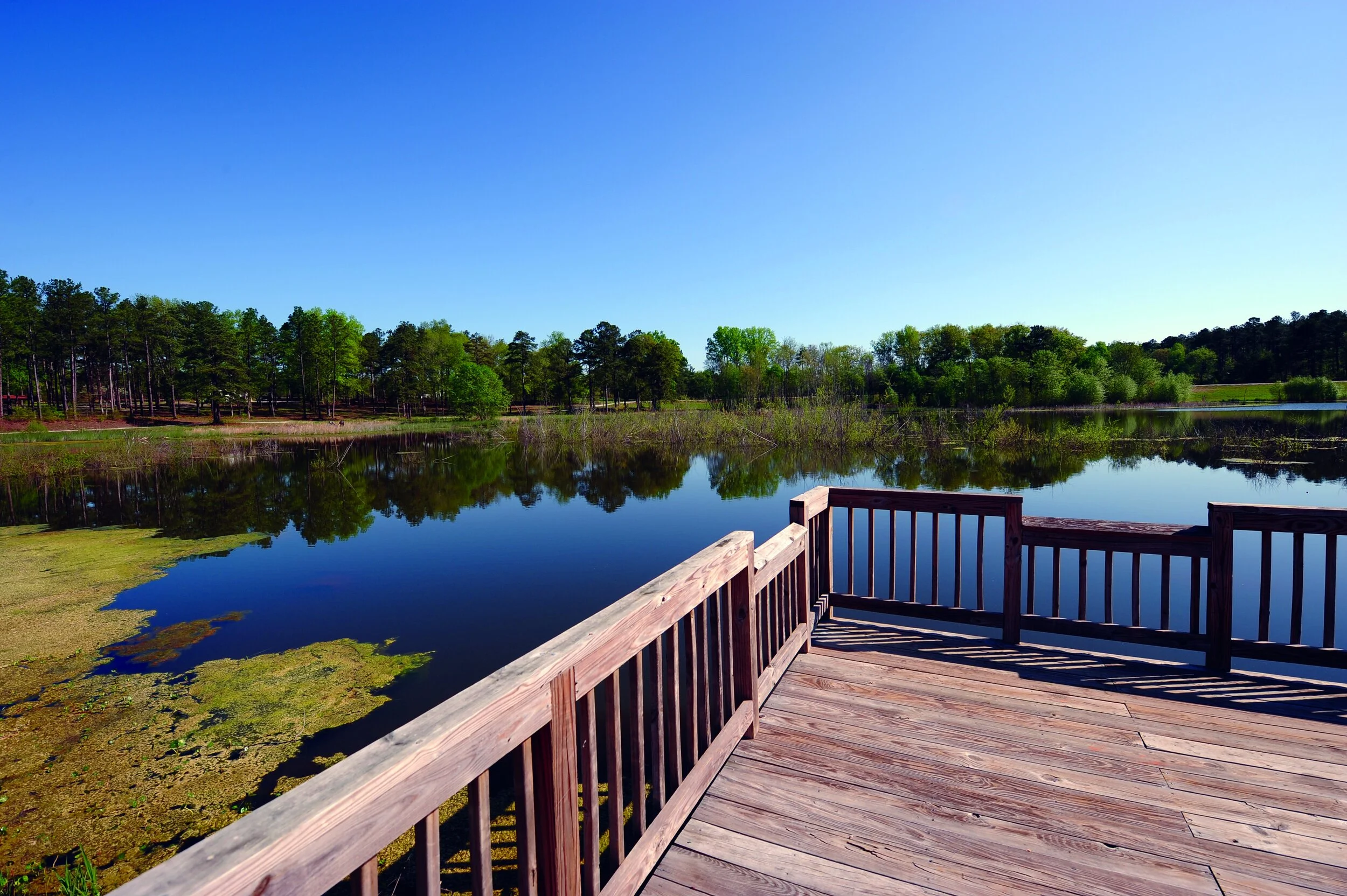 6 Great Places for Outdoor Recreation in Thomson, Georgia — Visit ...