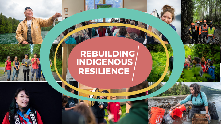 Resilience Circles — JumpScale