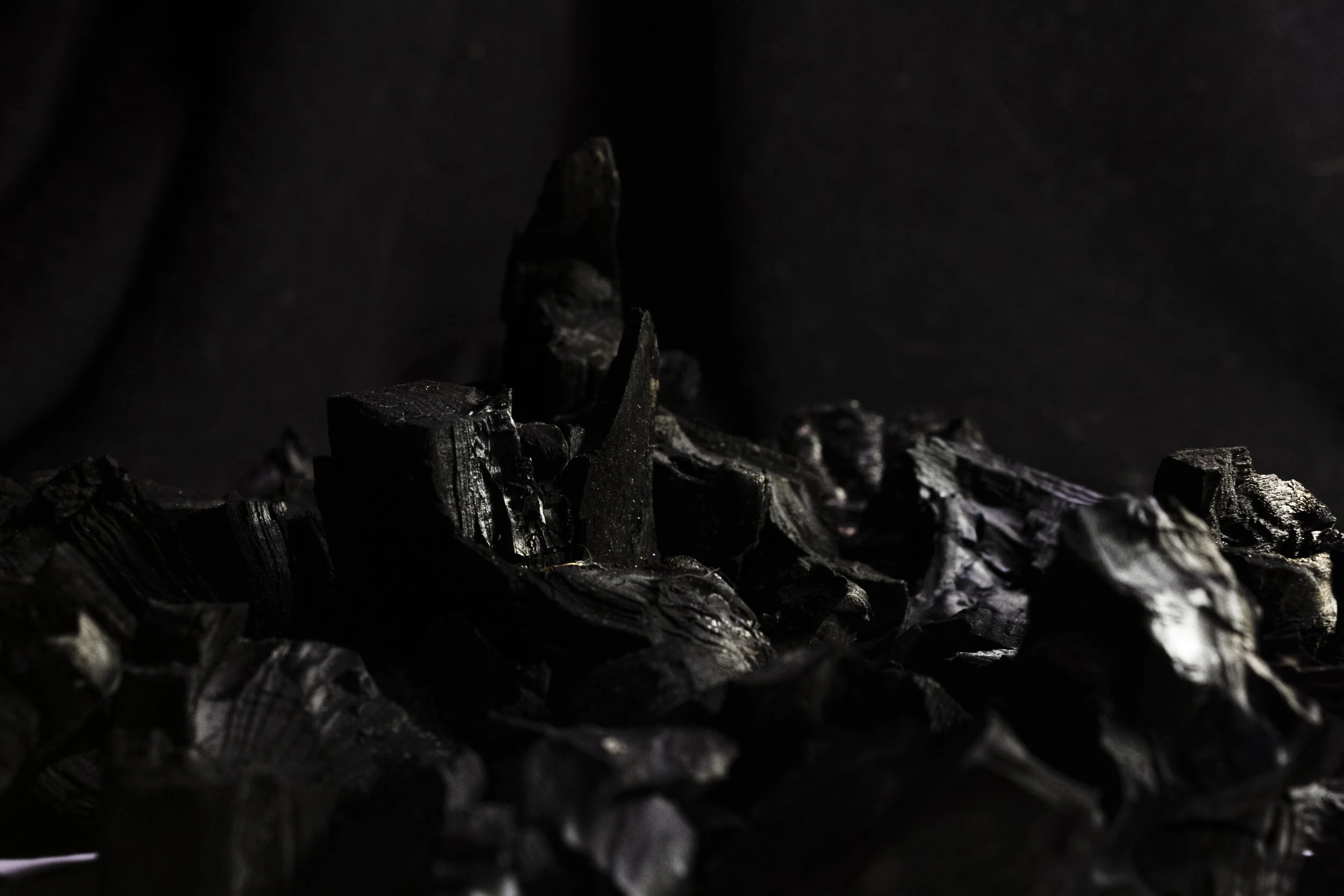 Charred Landscapes | EICU DESIGN