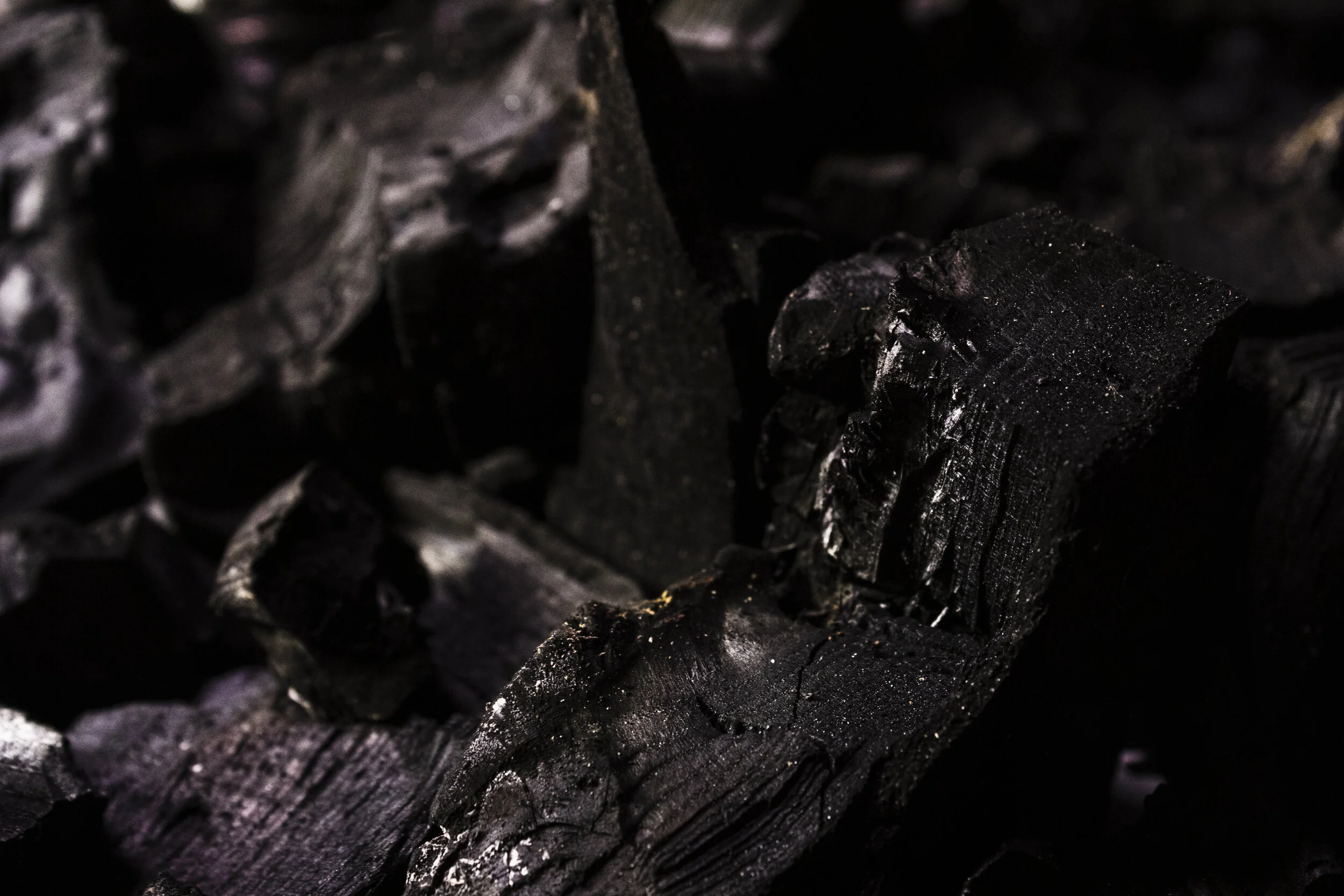 Charred Landscapes | EICU DESIGN