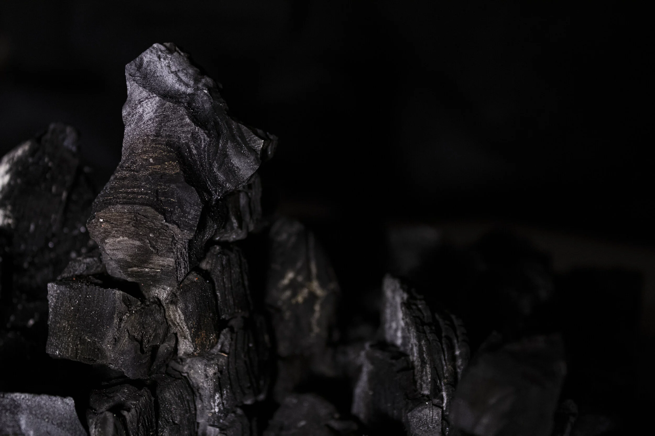 Charred Landscapes | EICU DESIGN