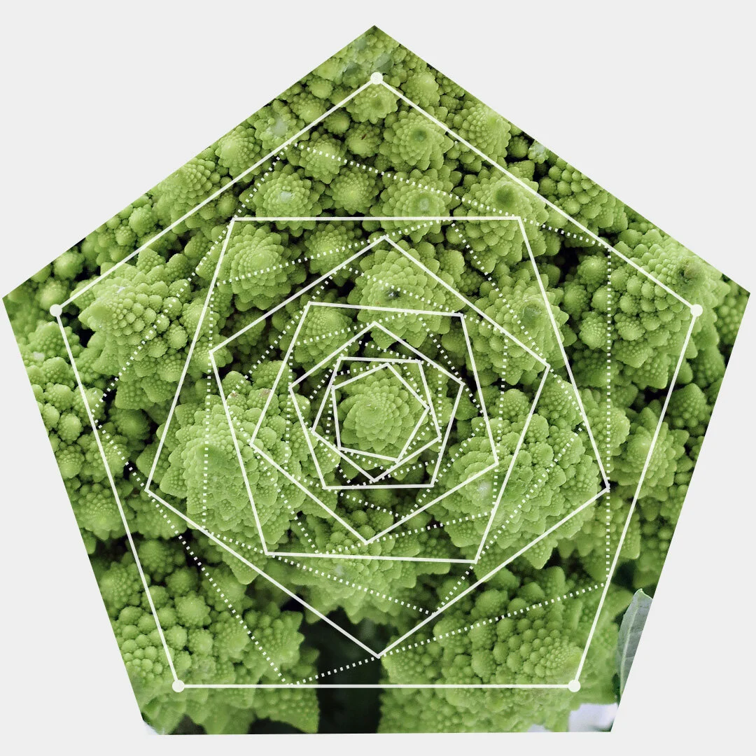 Episode #009 🌿Terisa Brenna — AMONG THE JUNGLE