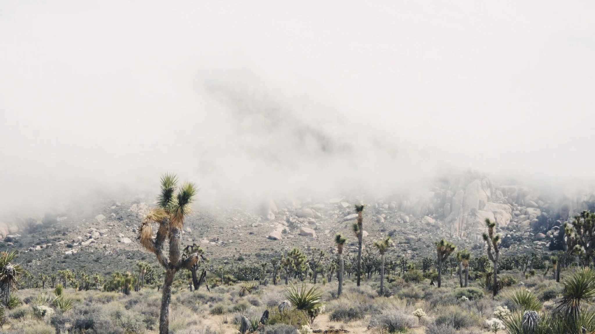 /Book — PROPAGANDA