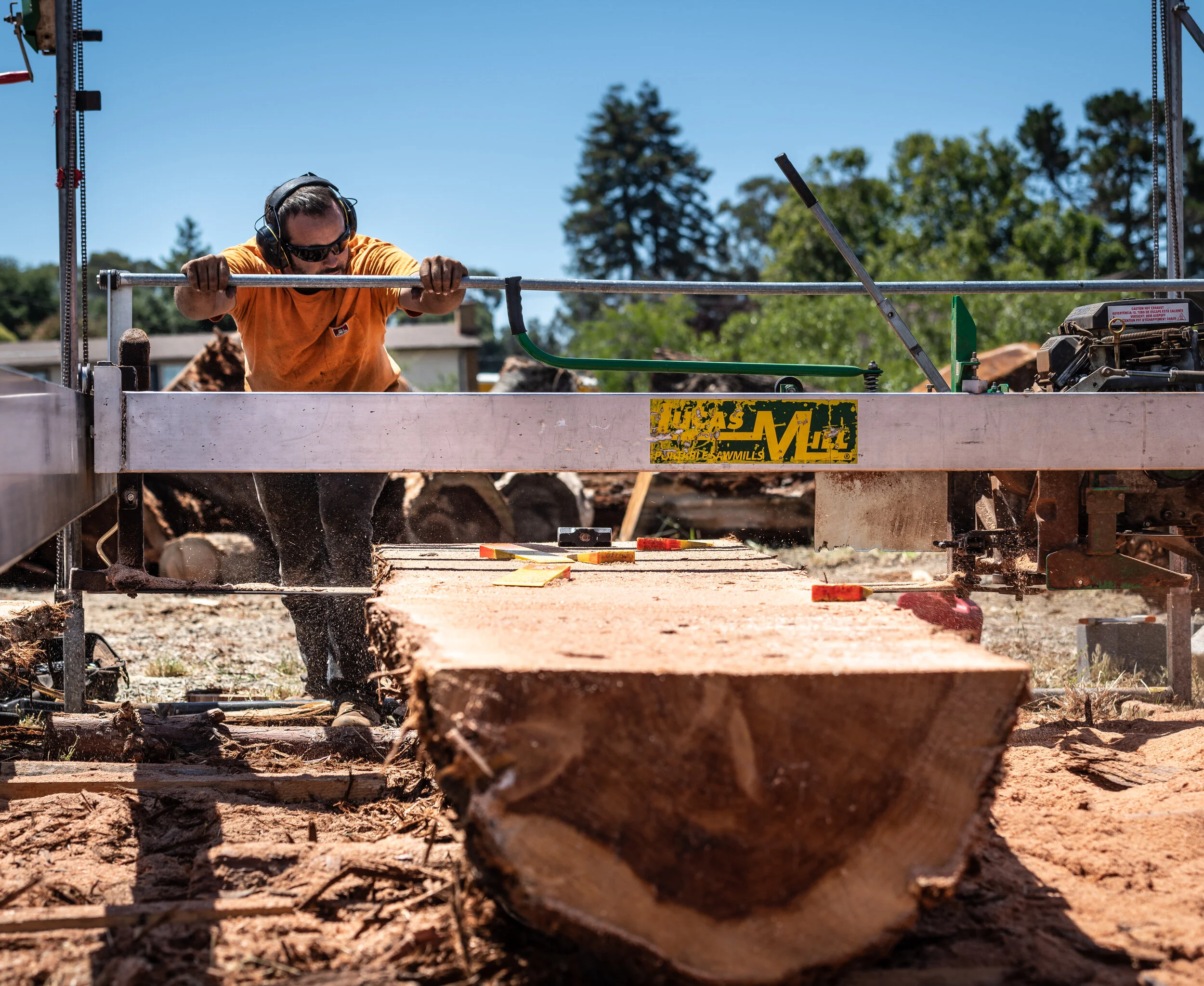 Tree Removal & Recycling — Bay Area Redwood