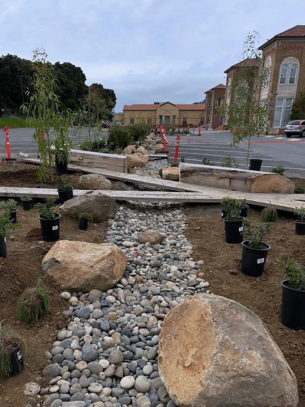 Cornerstone Academy — Bay Area Redwood