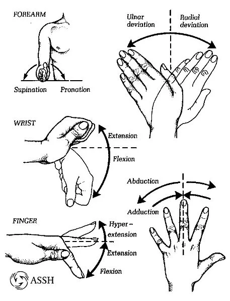 Anatomy of the Hand - Dr. Jonathan Lee Yi-Liang