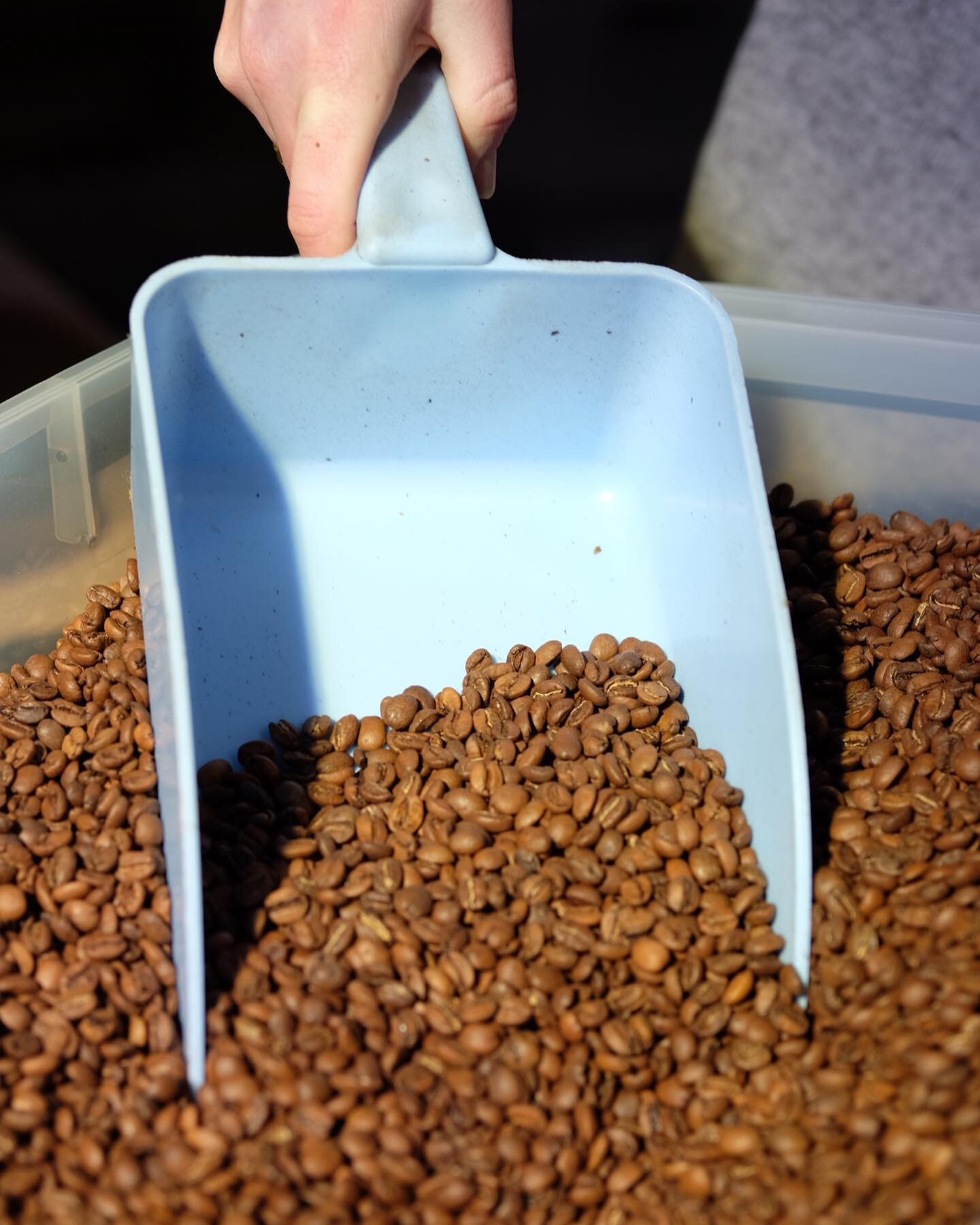 Coldblow Coffee Roasters