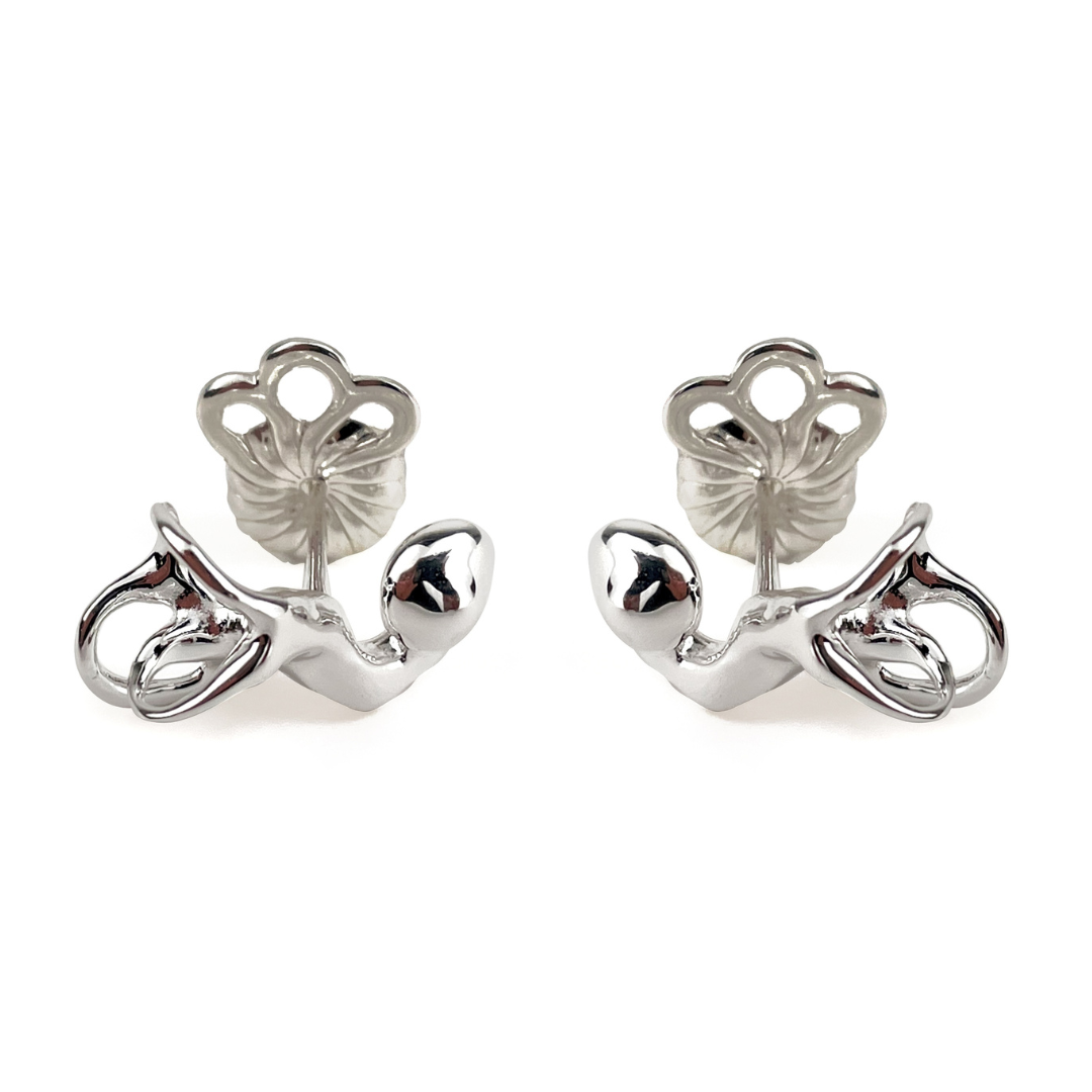 Vestibular Info and Merchandise