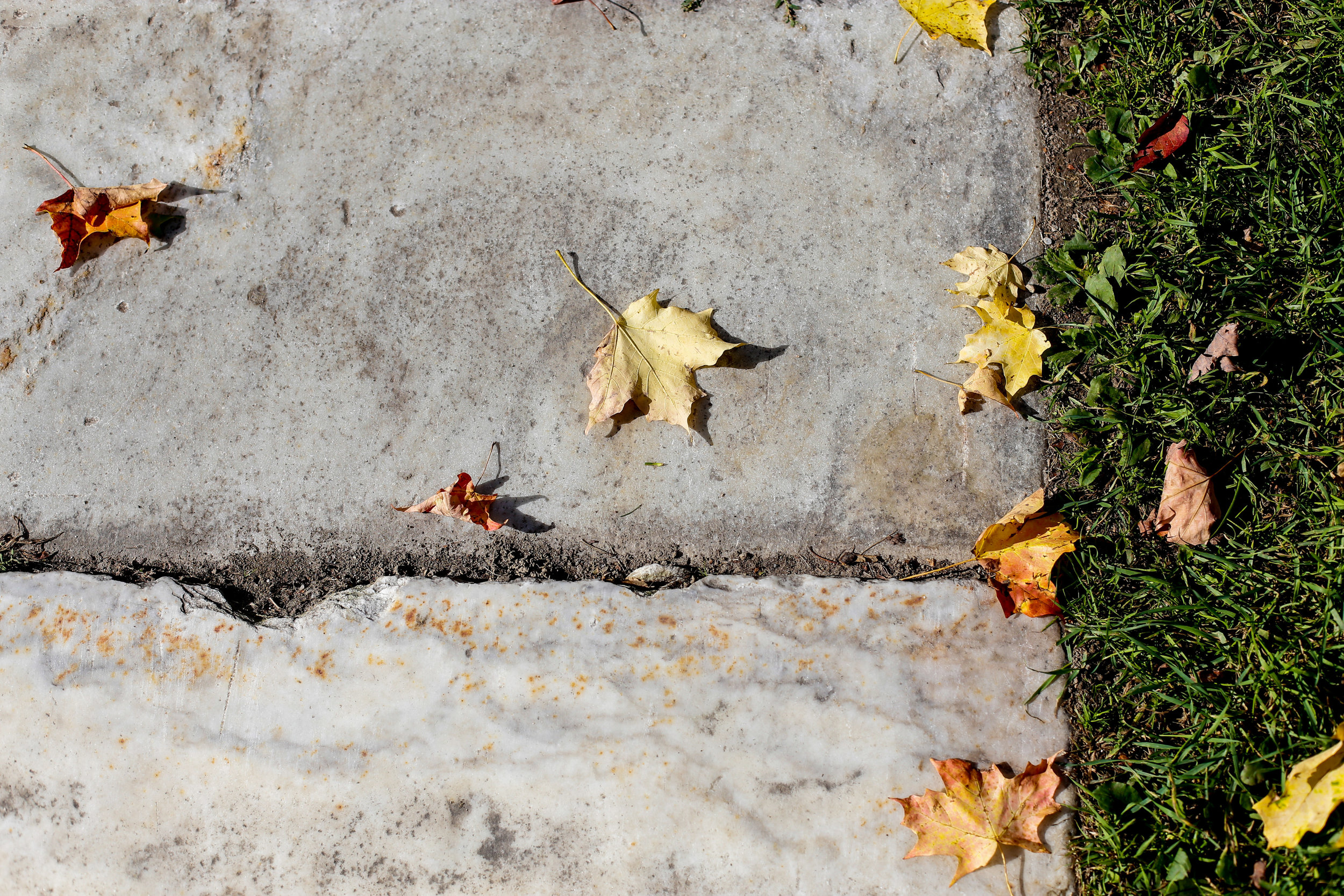 Clinical Services — R. Meredith Elkins, Ph.D.