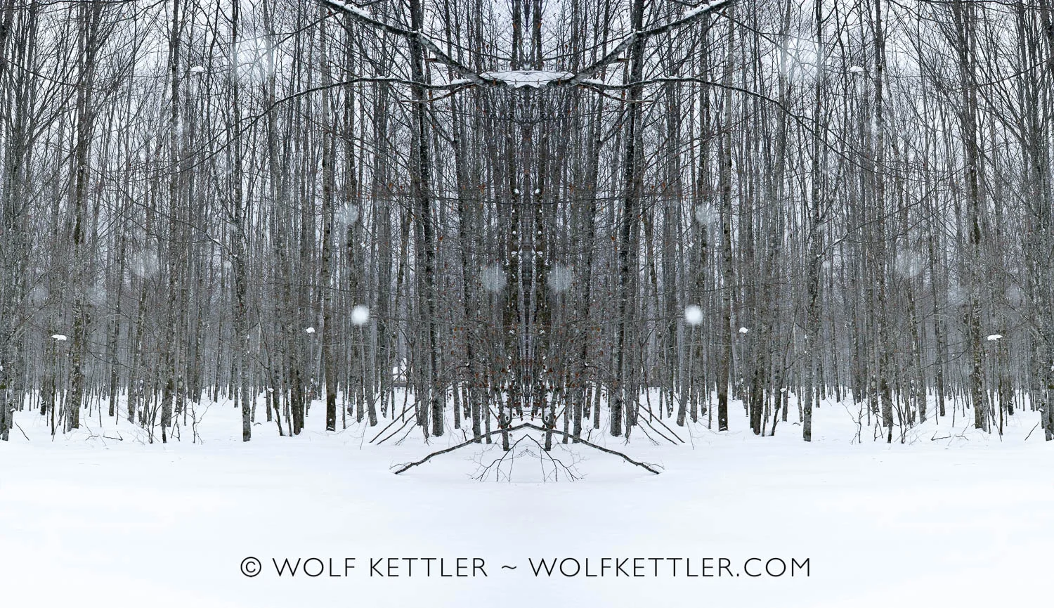 Symmetry - Art Photography Experiment by Wolf Kettler