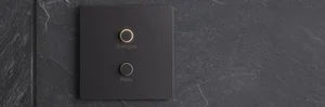 Lutron Alise Keypad | Illuminate Your Space — Hamptons Lighting Design