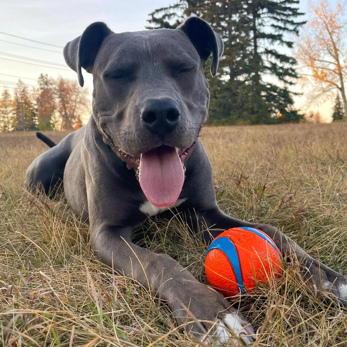 Chelsea Laschenko - Cultivate Balance | Yoga | Therapy | Lifestyle