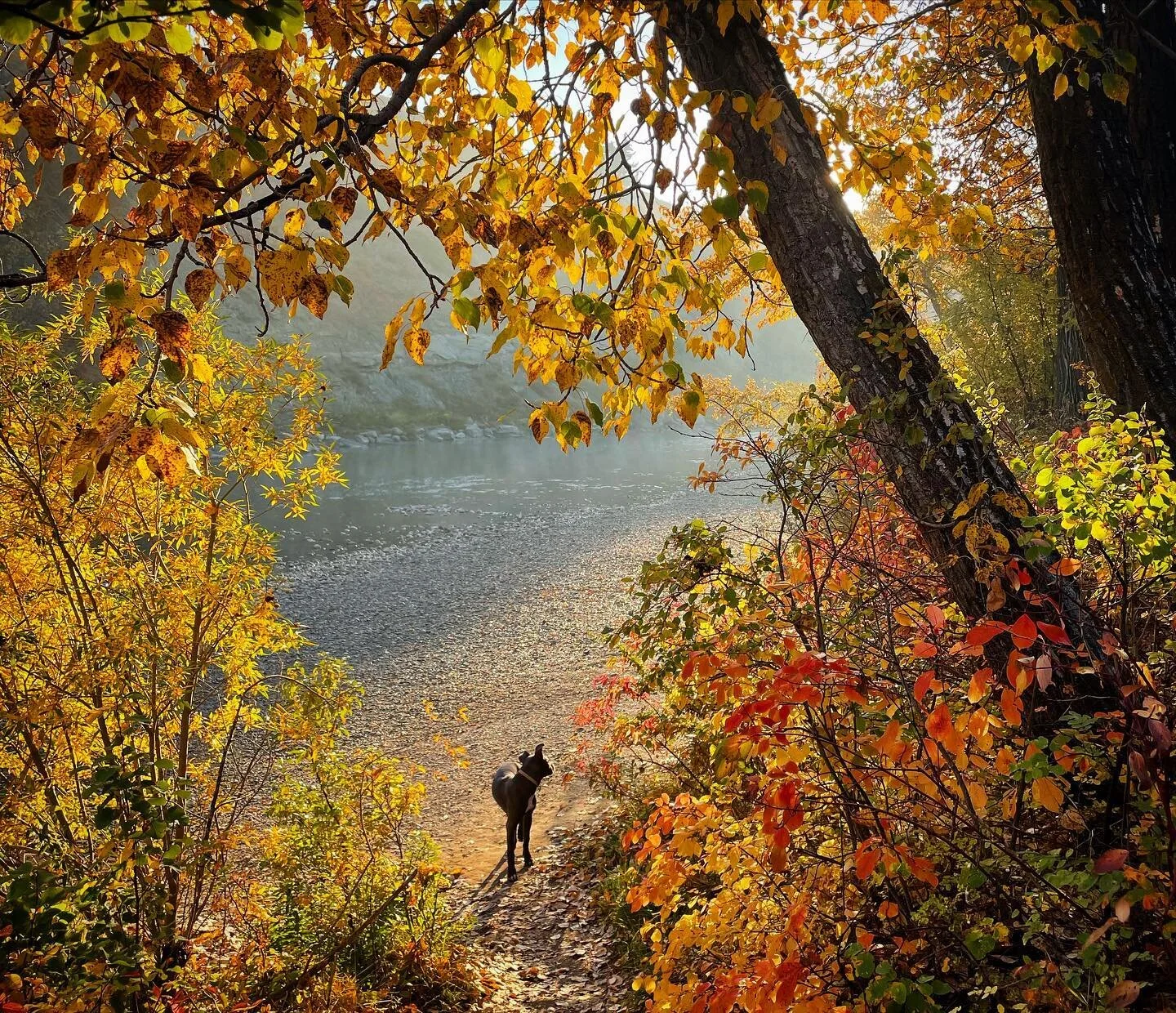 Chelsea Laschenko - Cultivate Balance | Yoga | Therapy | Lifestyle