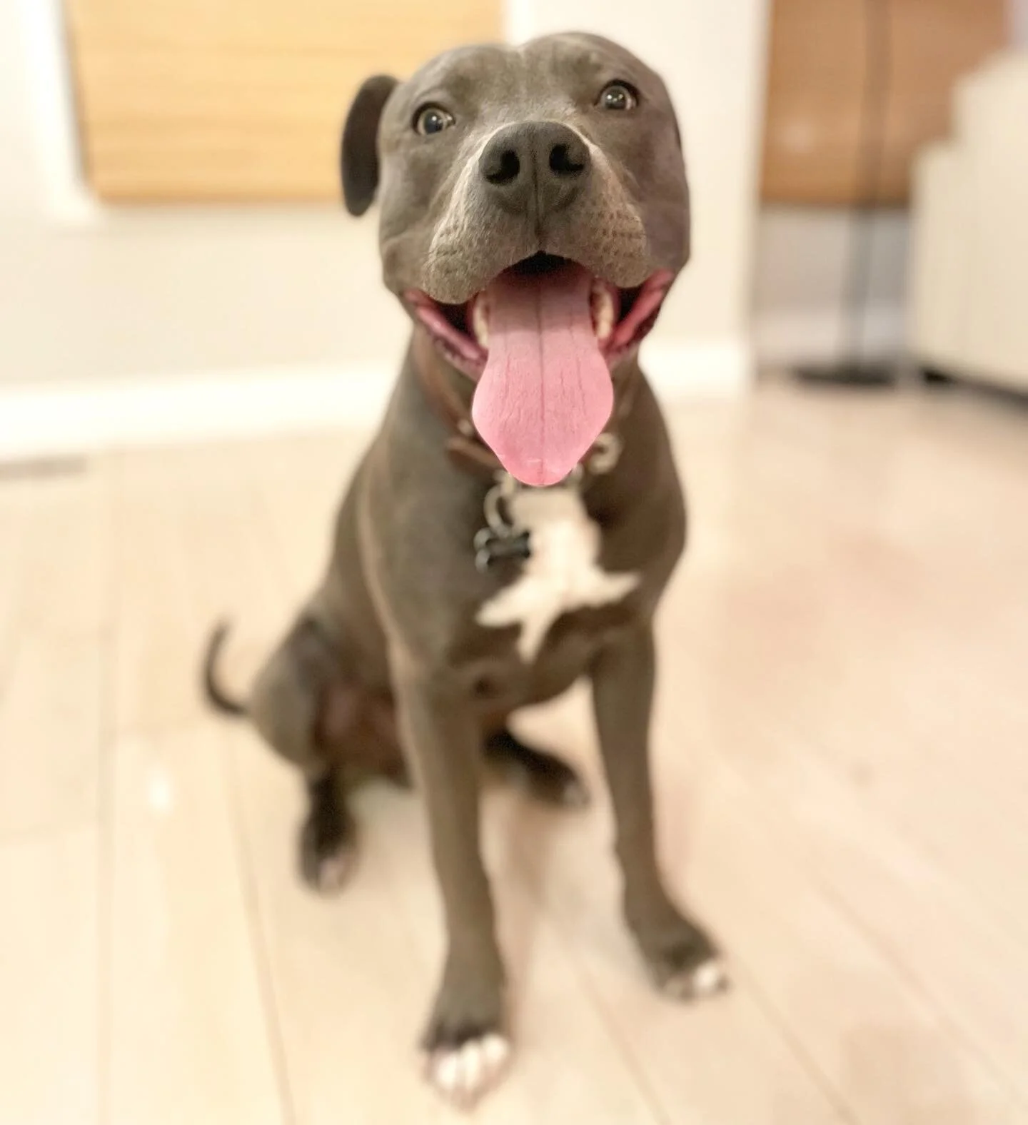 Chelsea Laschenko - Cultivate Balance | Yoga | Therapy | Lifestyle