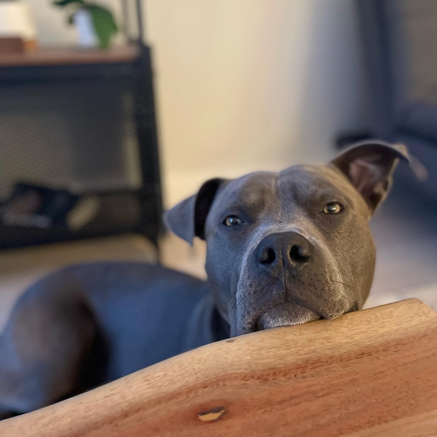 Chelsea Laschenko - Cultivate Balance | Yoga | Therapy | Lifestyle