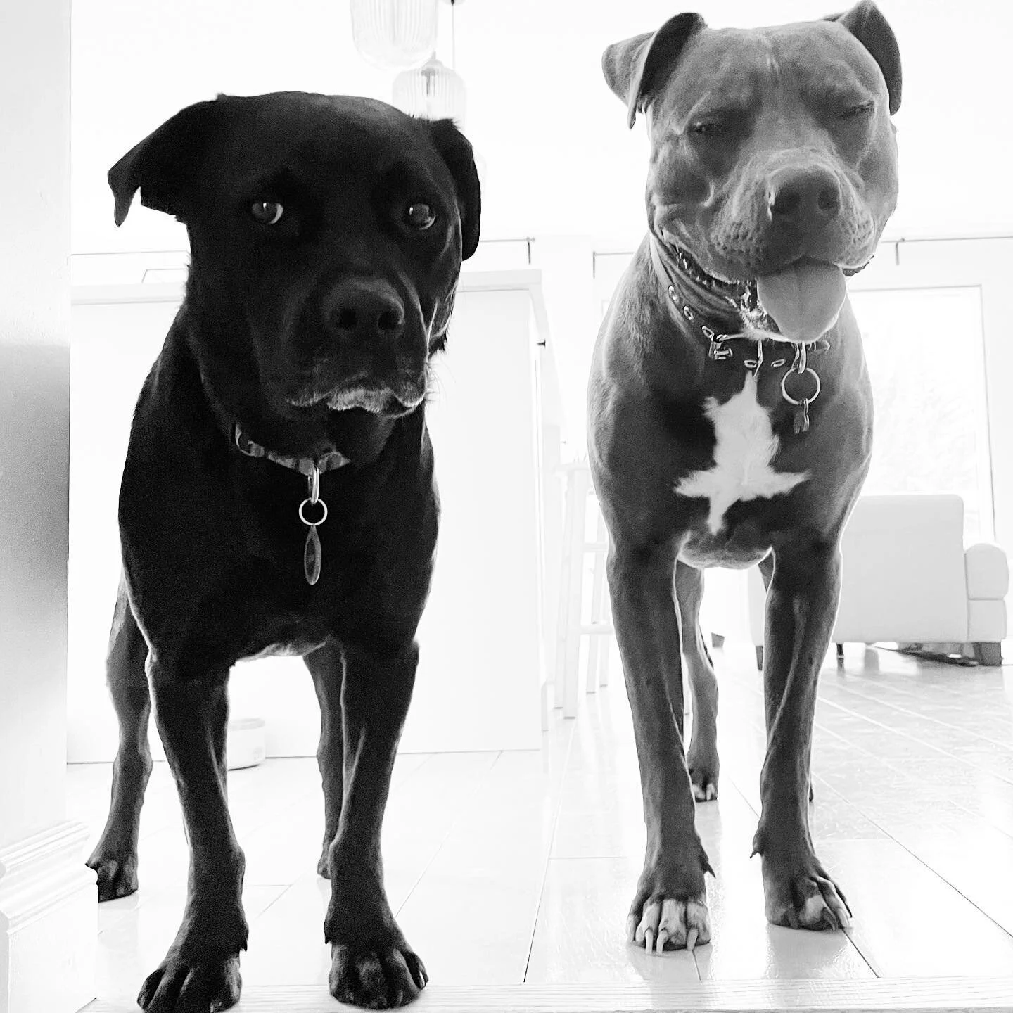 Chelsea Laschenko - Cultivate Balance | Yoga | Therapy | Lifestyle