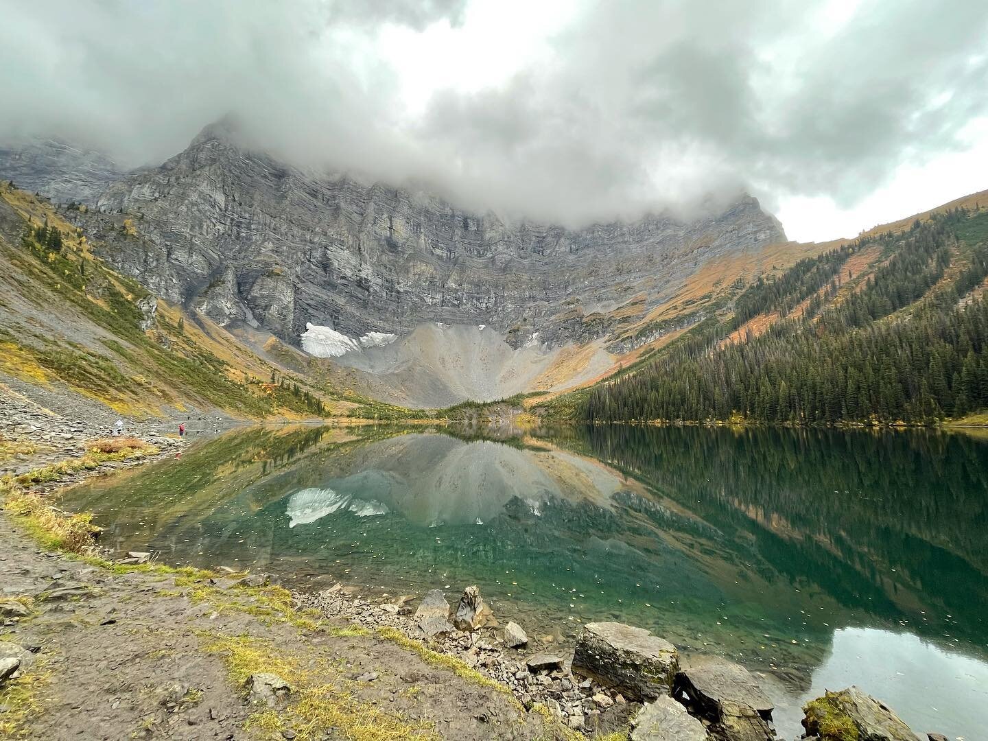 Chelsea Laschenko - Cultivate Balance | Yoga | Therapy | Lifestyle