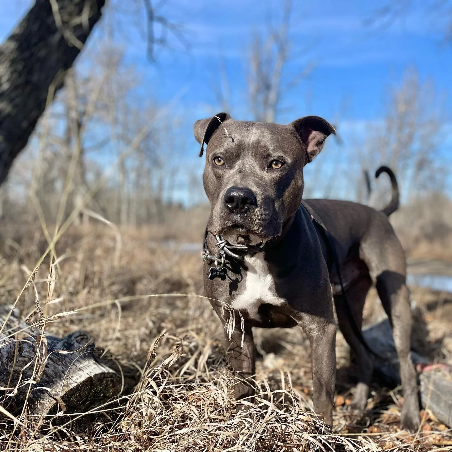 Chelsea Laschenko - Cultivate Balance | Yoga | Therapy | Lifestyle