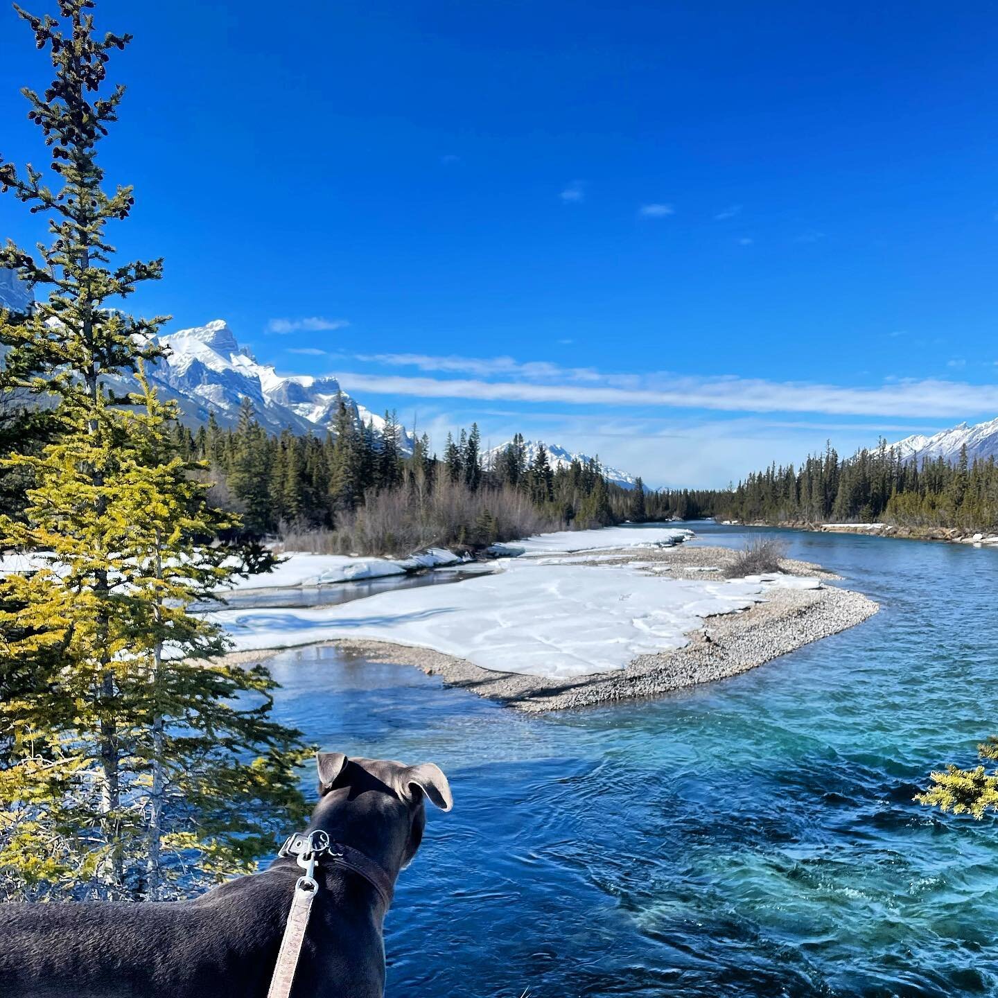 Chelsea Laschenko - Cultivate Balance | Yoga | Therapy | Lifestyle