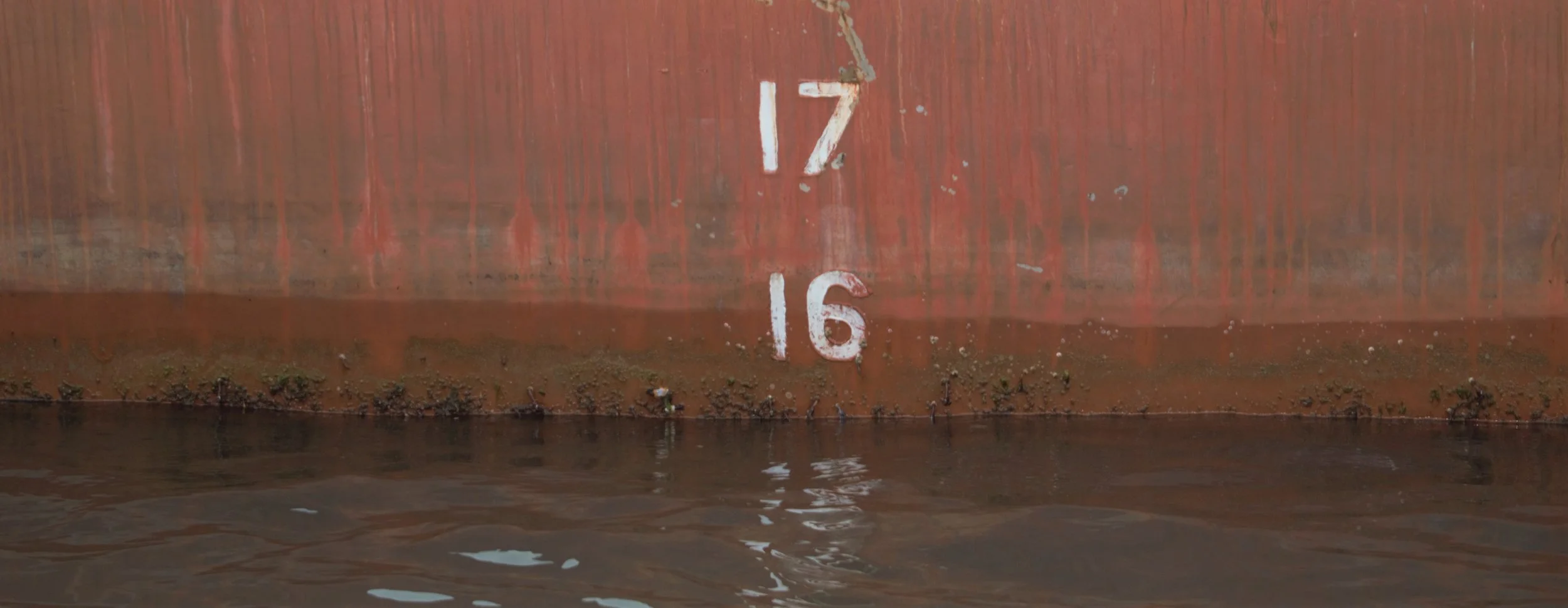 SSV Corwith Cramer — Hullscapes