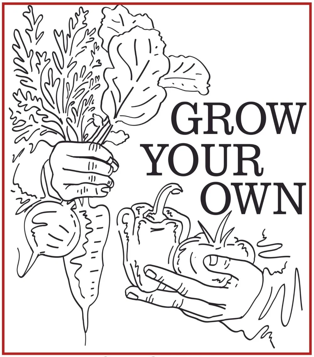 Programs | Grow Oak Ridge