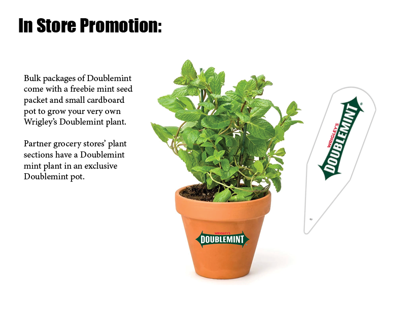 Doublemint Plant