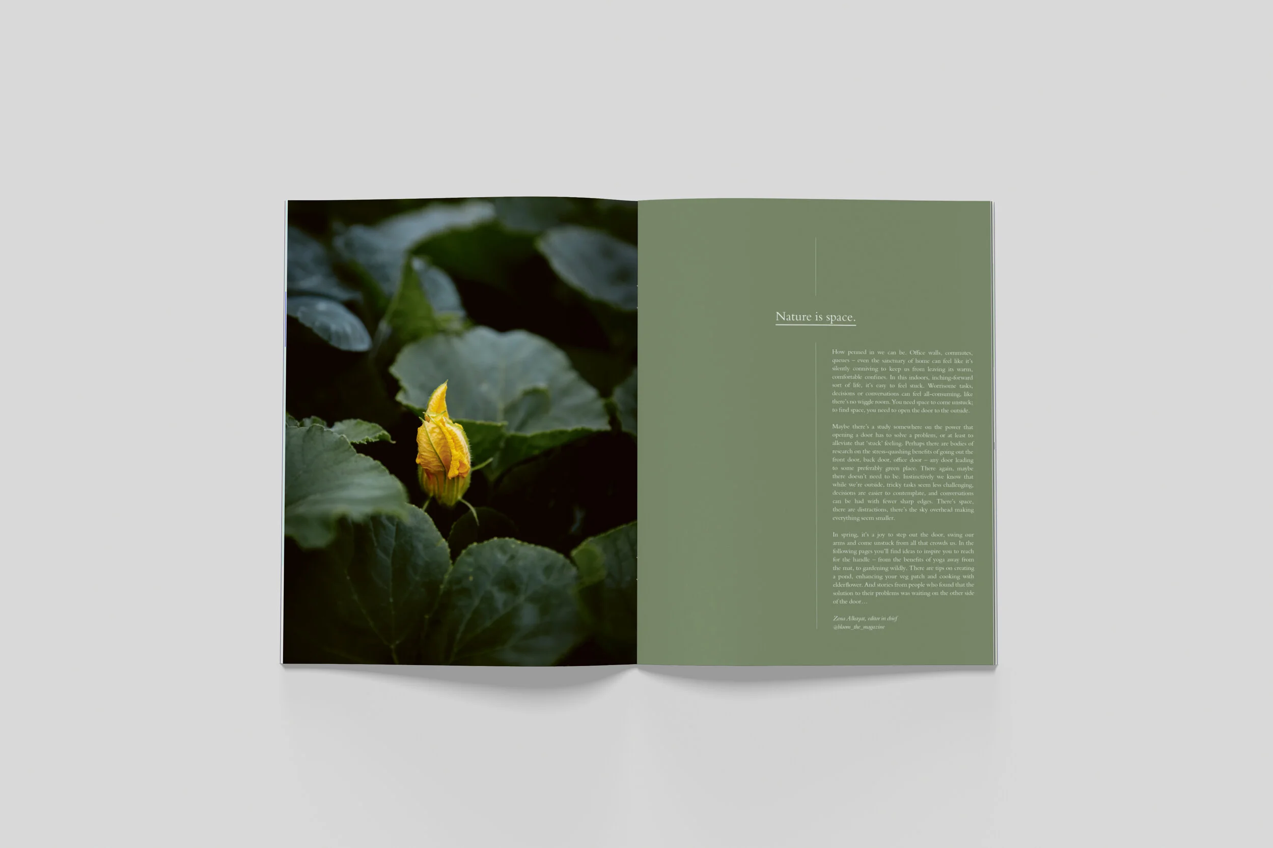 Nature Magazine Spreads