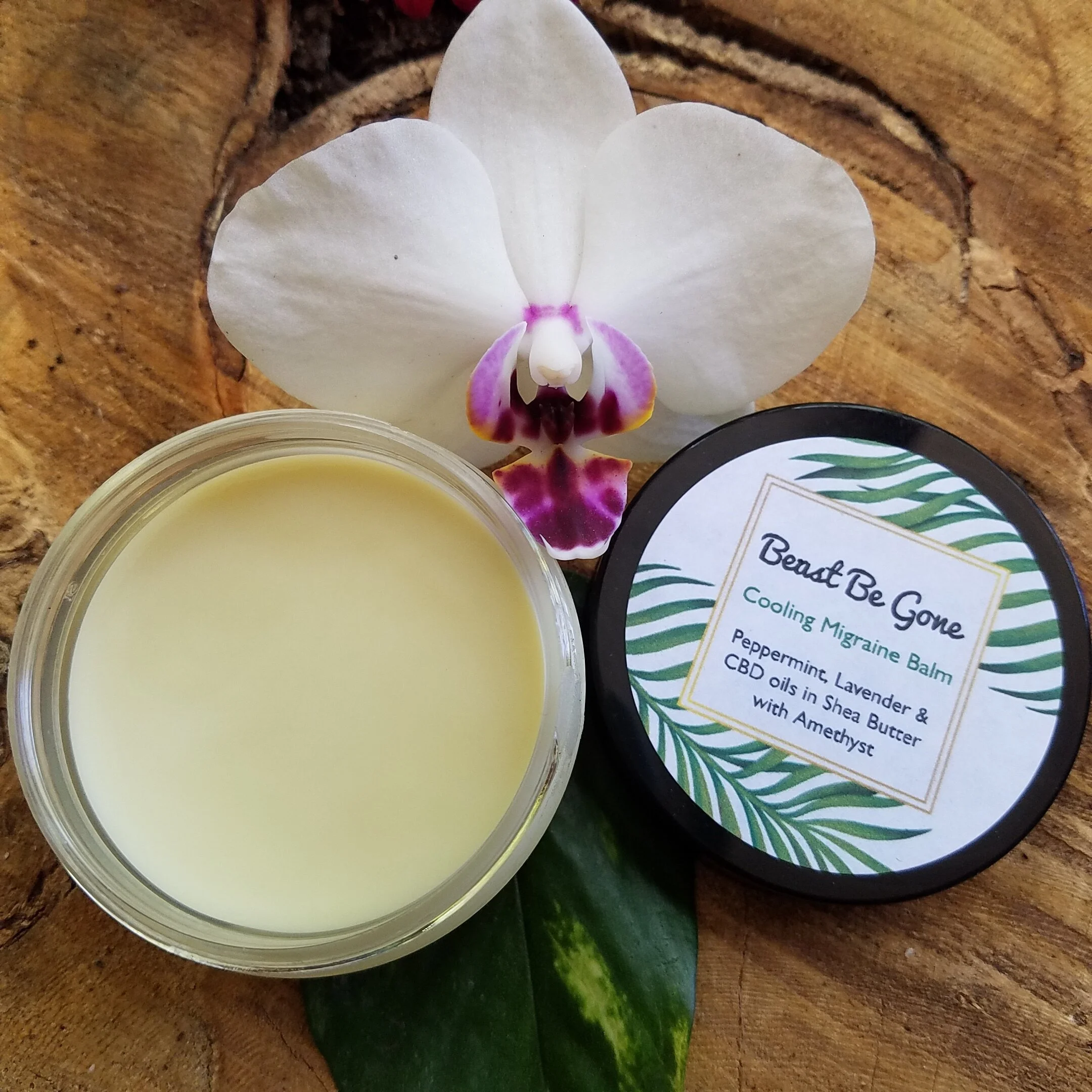 Shop — Jamie Shane