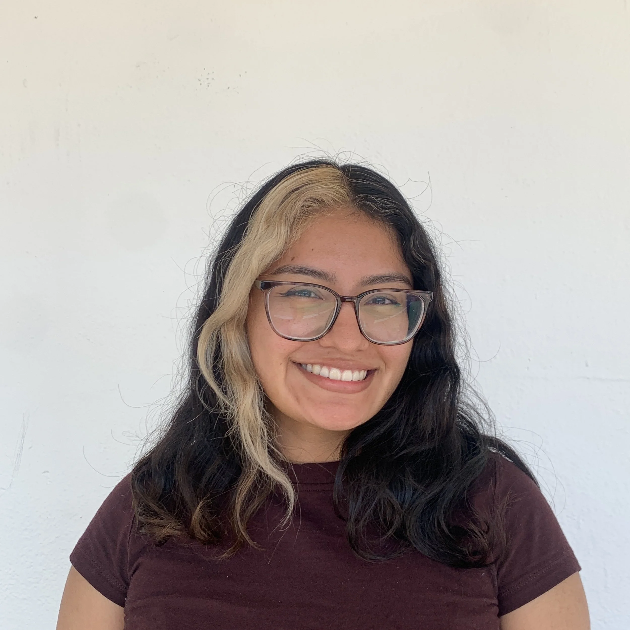 About Us — The Primary School