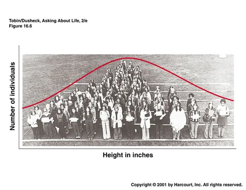 Normal distribution — Eval Academy