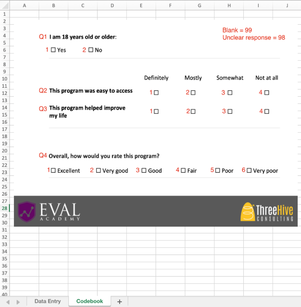 Three Steps for Painless Survey Data Entry - Program Evaluation — Eval ...
