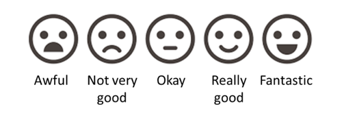 Everything You Need To Know About Likert Scales — Eval Academy