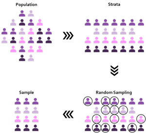 Stratified Random Sampling In Evaluation — Eval Academy