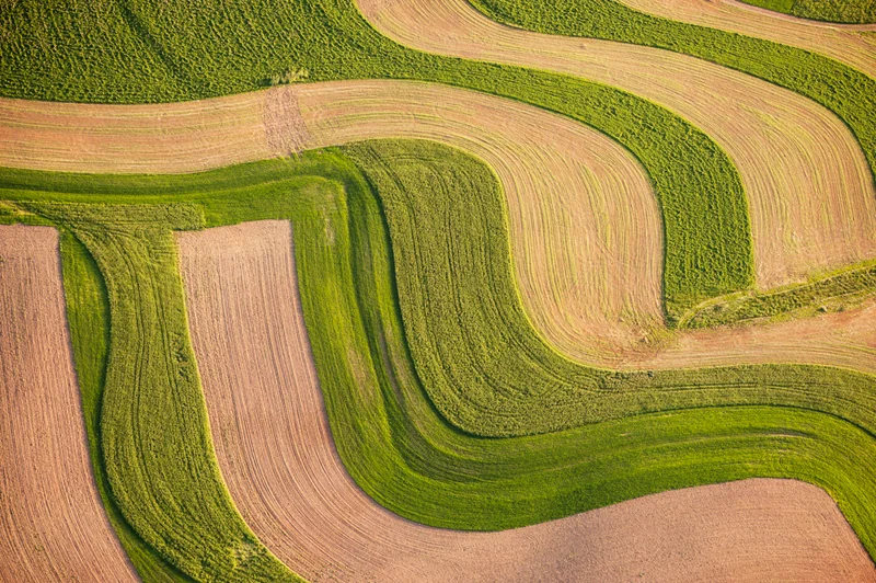 AGRICULTURE — John Griebsch