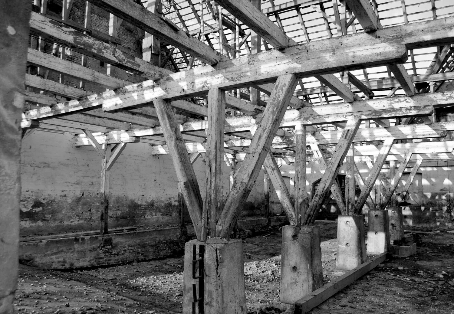 BEISSERT + GRUSS ARCHITEKTEN BDA