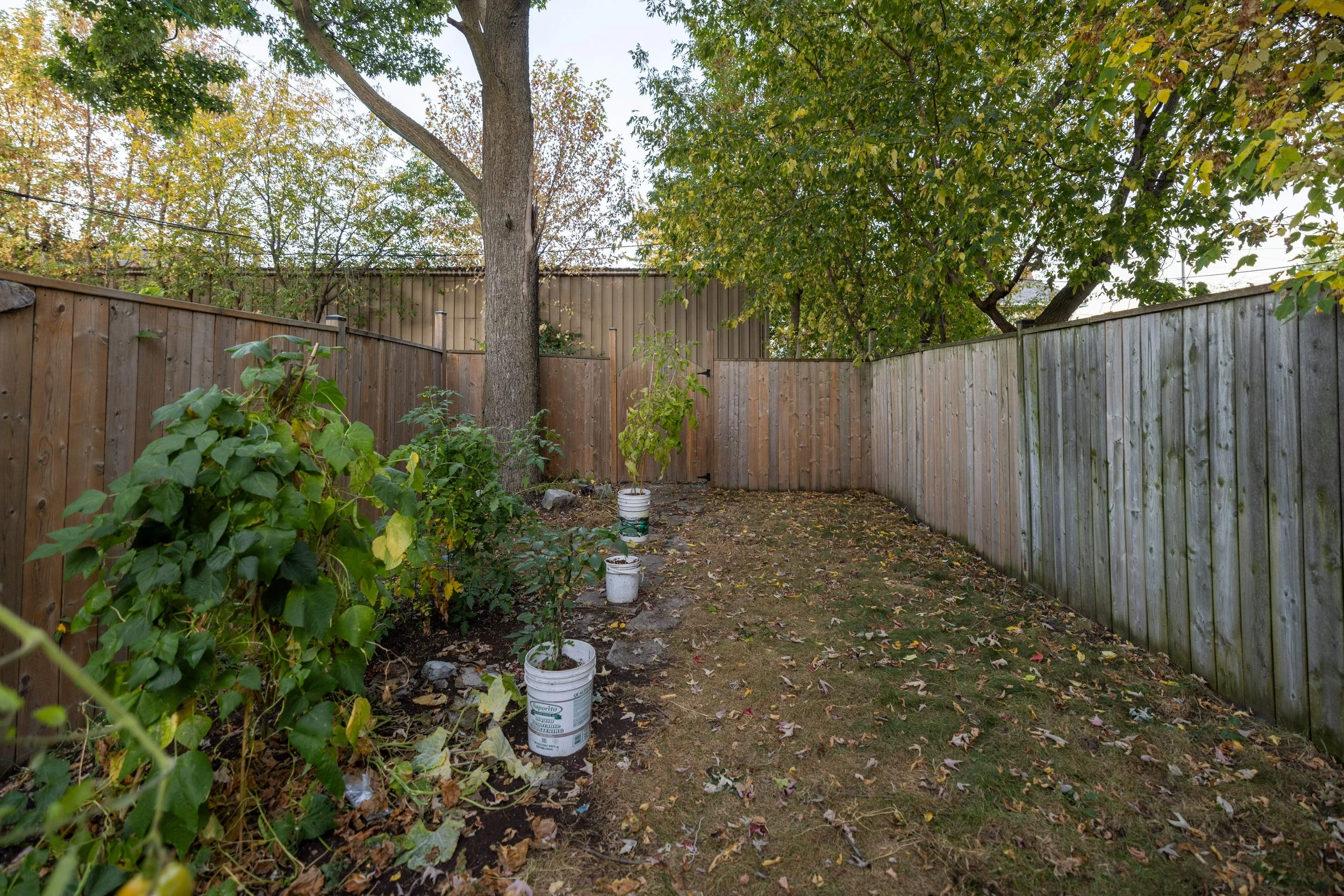 403 Bagot St - Sold! — Mark Sinnett