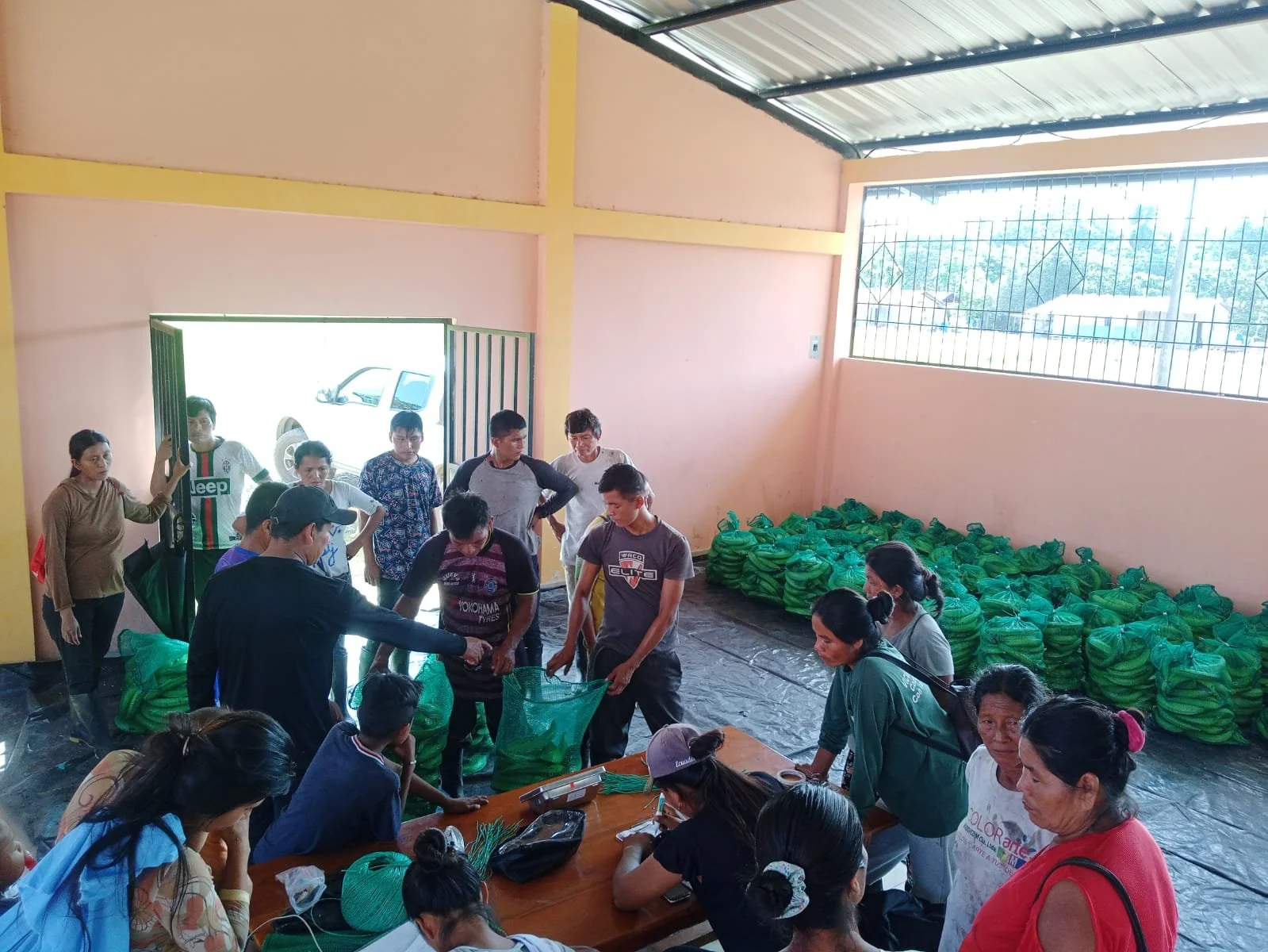 Connecting indigenous businesses to the green plantain value chain ...