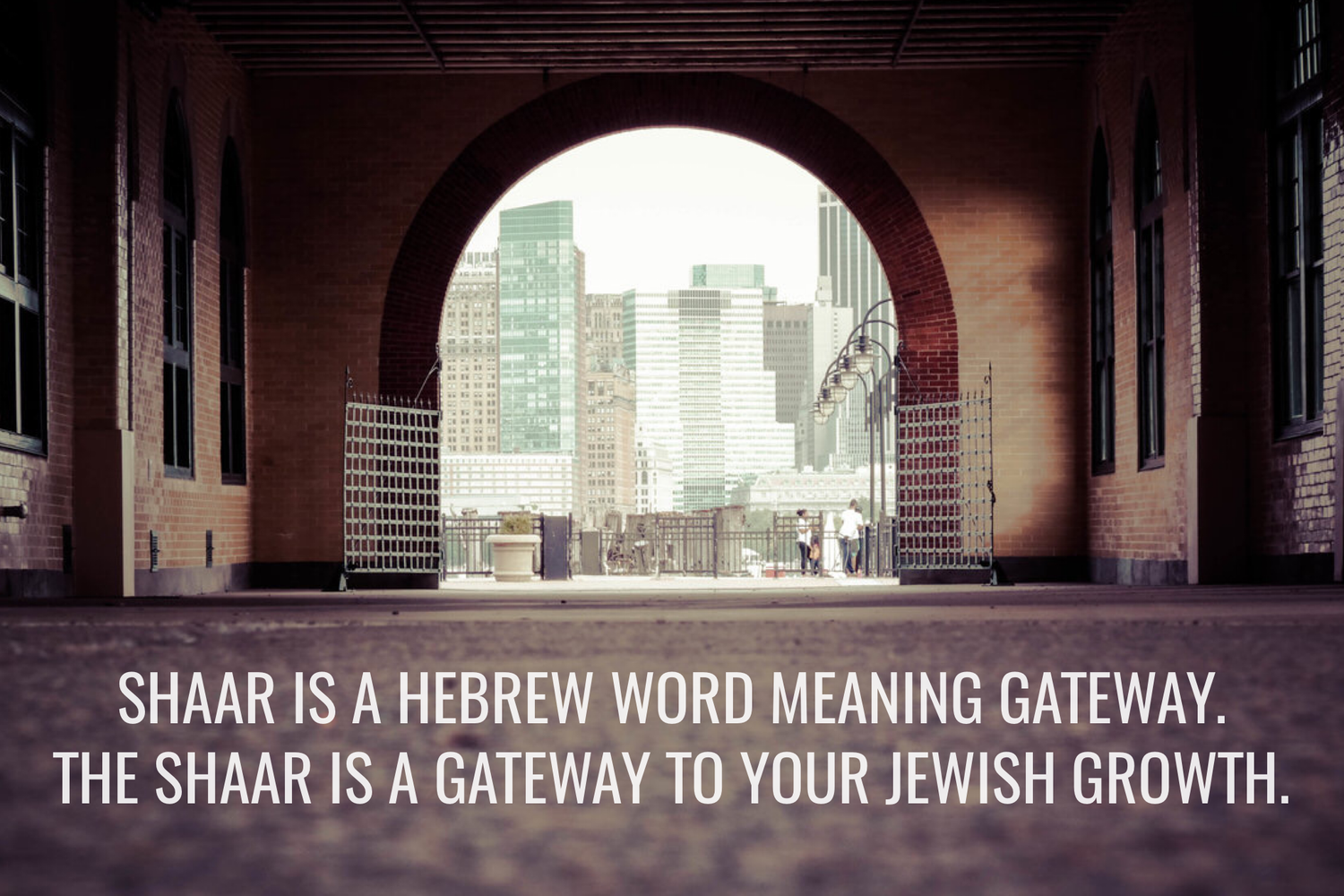 About The Shaar — THE SHAAR