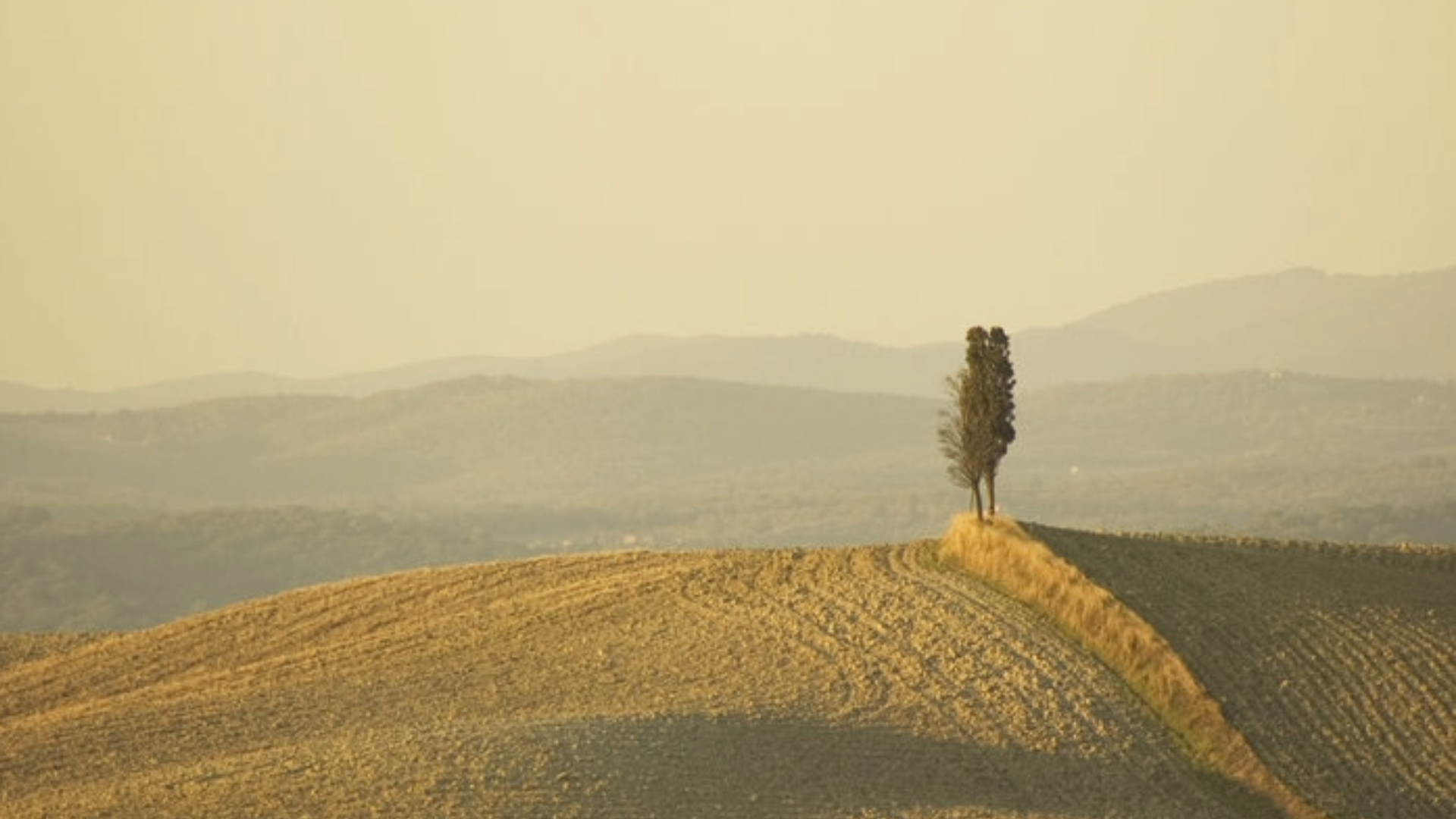 The Sermon on the Plain — The Falls Church Anglican