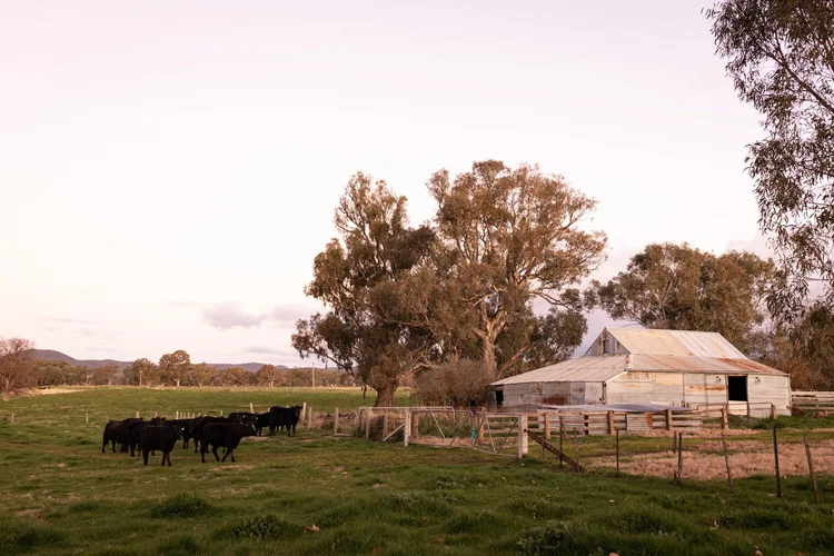 Dunmore Farm Luxury Farm Stay