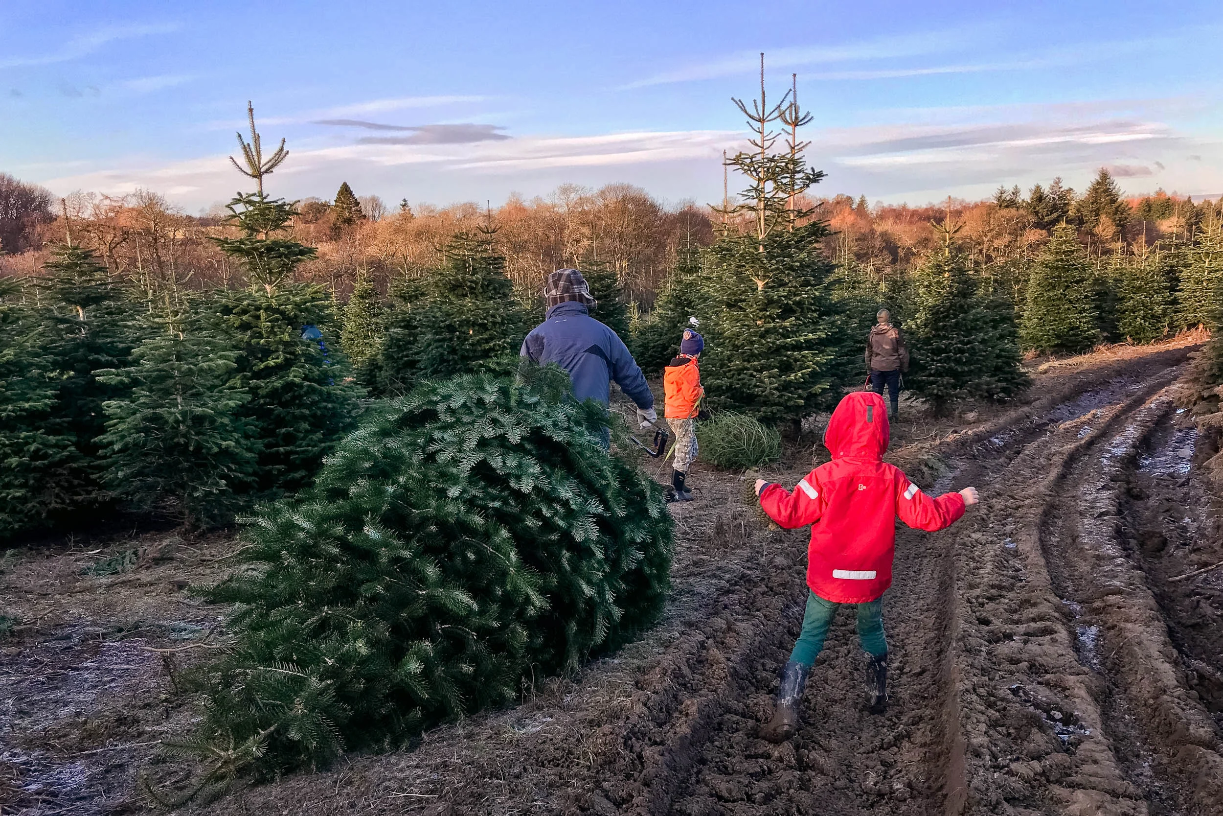 Retail — Duff Christmas Tree Farm