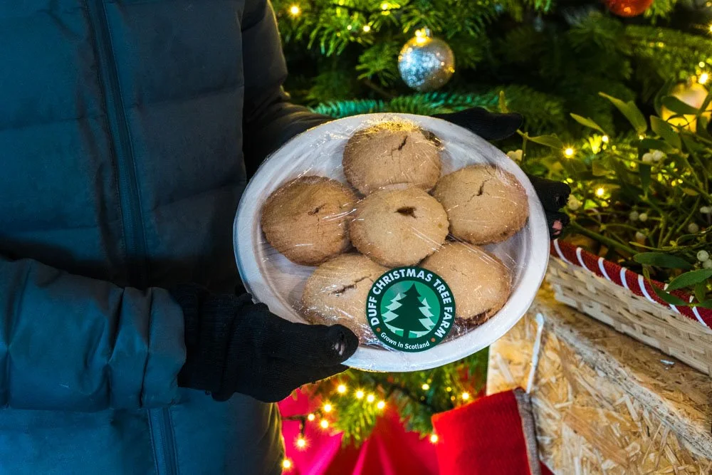 Cut your own Christmas Tree — Duff Christmas Tree Farm